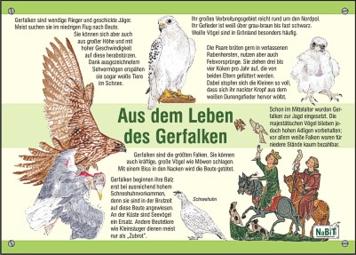 NaBiT – Bildtafeln – NaBiT GbR